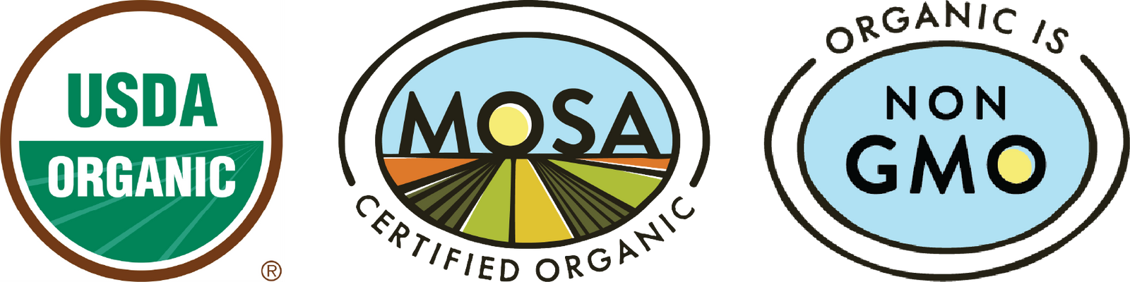 Early Sunflower Native Prairie Forb - Organic