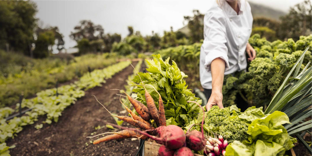 Grower Resources