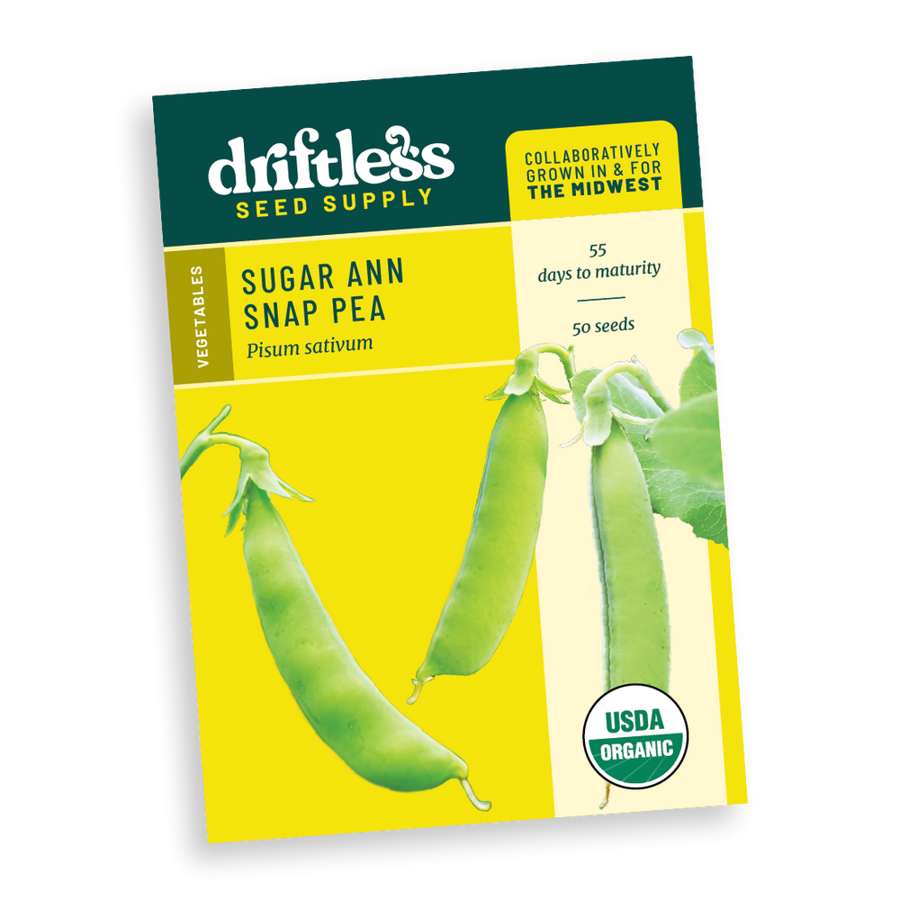 Sugar Ann Dwarf Vine Snap Pea - Organic