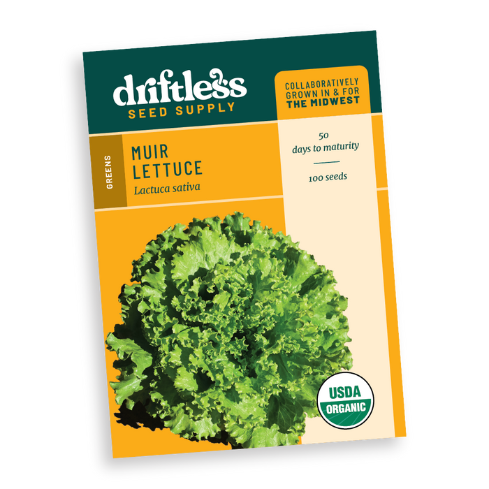 Muir Heat Tolerant Green Leaf Lettuce - Organic